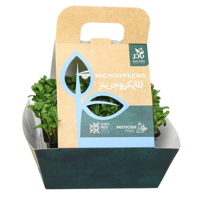 Parsley Microgreens